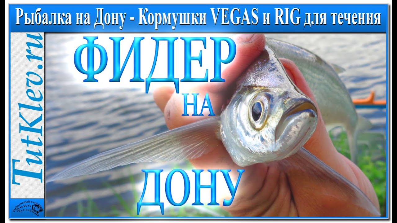 Фидер на Дону. Кормушки VEGAS и RIG для течения.mp4