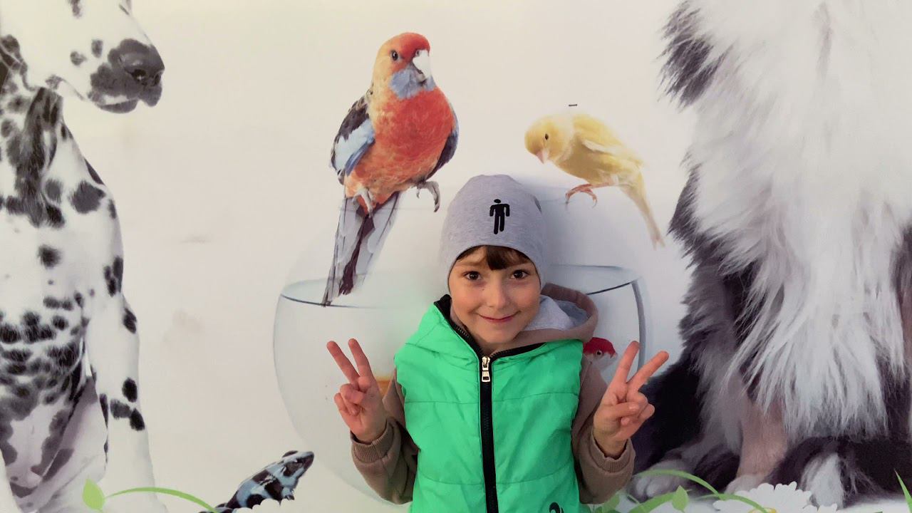 Влог 27.10 | Елка часть 2 | Котобои | Вечерняя прогулка