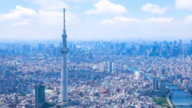 KidsBox_Level2_Unit8_CLIL_video