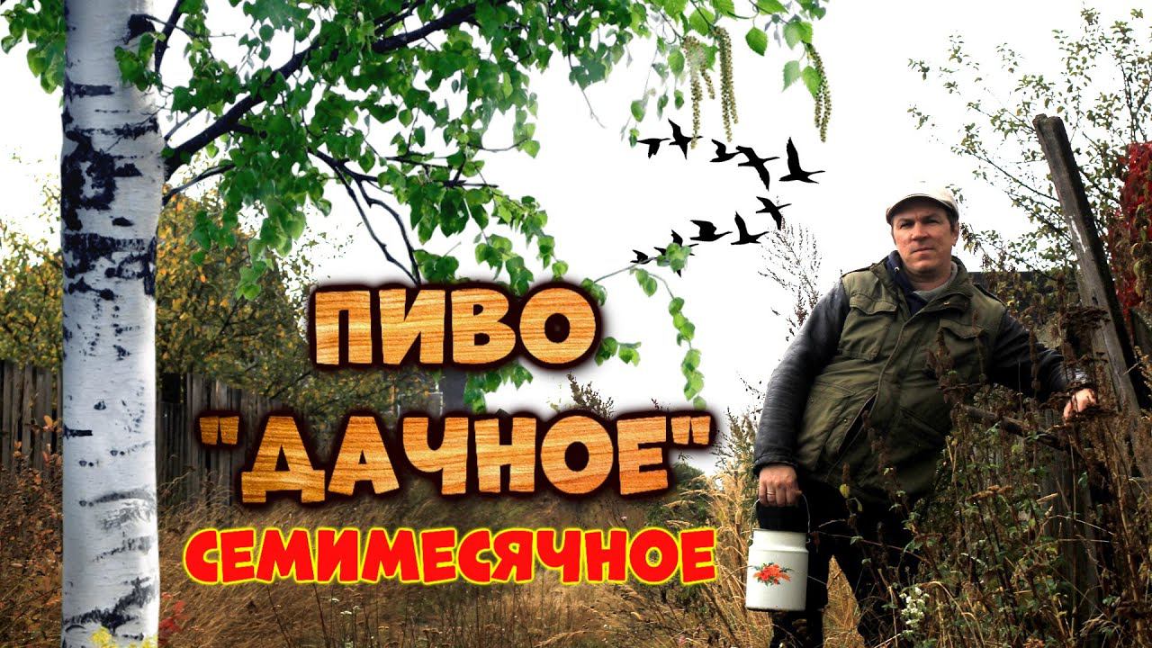 ПИВО ДАЧНОЕ простояло семь месяцев.Скисло или нет?