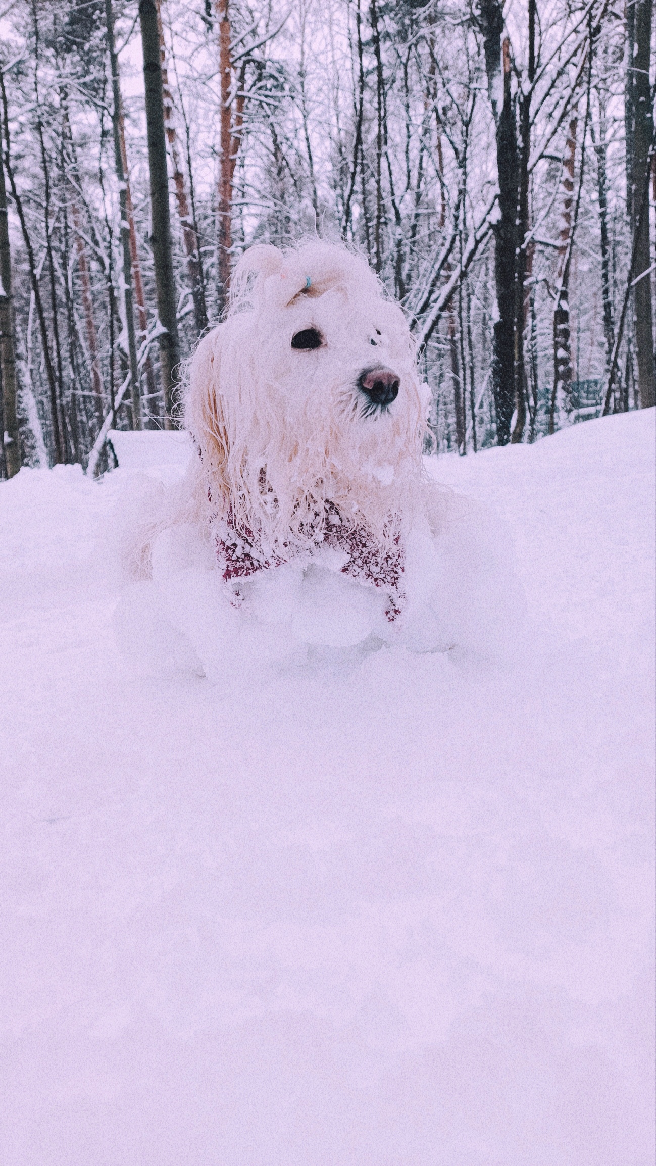 Борьба с комками