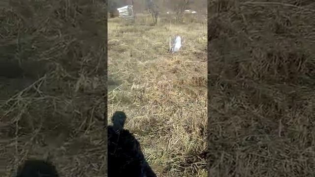 Огород апрель 2018.Усадьба-Романовых