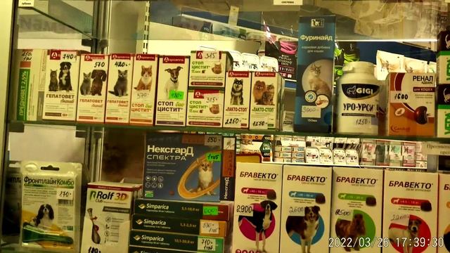 Ветеринарная аптека Бемби. Ассортимент в марте 2022.mp4