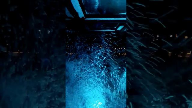 Ещё одно разалечение на фестивале "Сад света"  2021 год.mp4