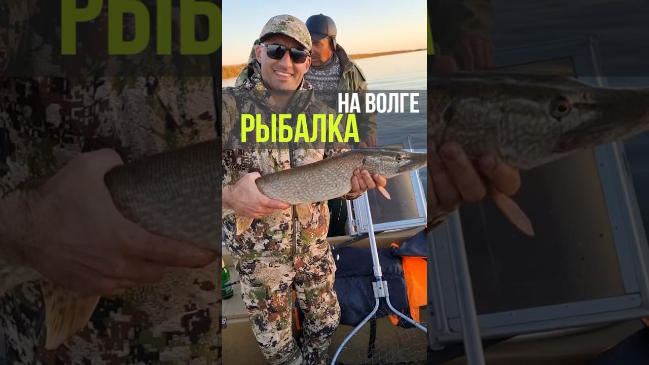 Рыбалка в дельте реки Волга! Настоящий отдых