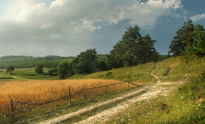 ПРЕДСКАЗАНИЕ….РОССИЯ 2024…ЧАСТЬ 2…