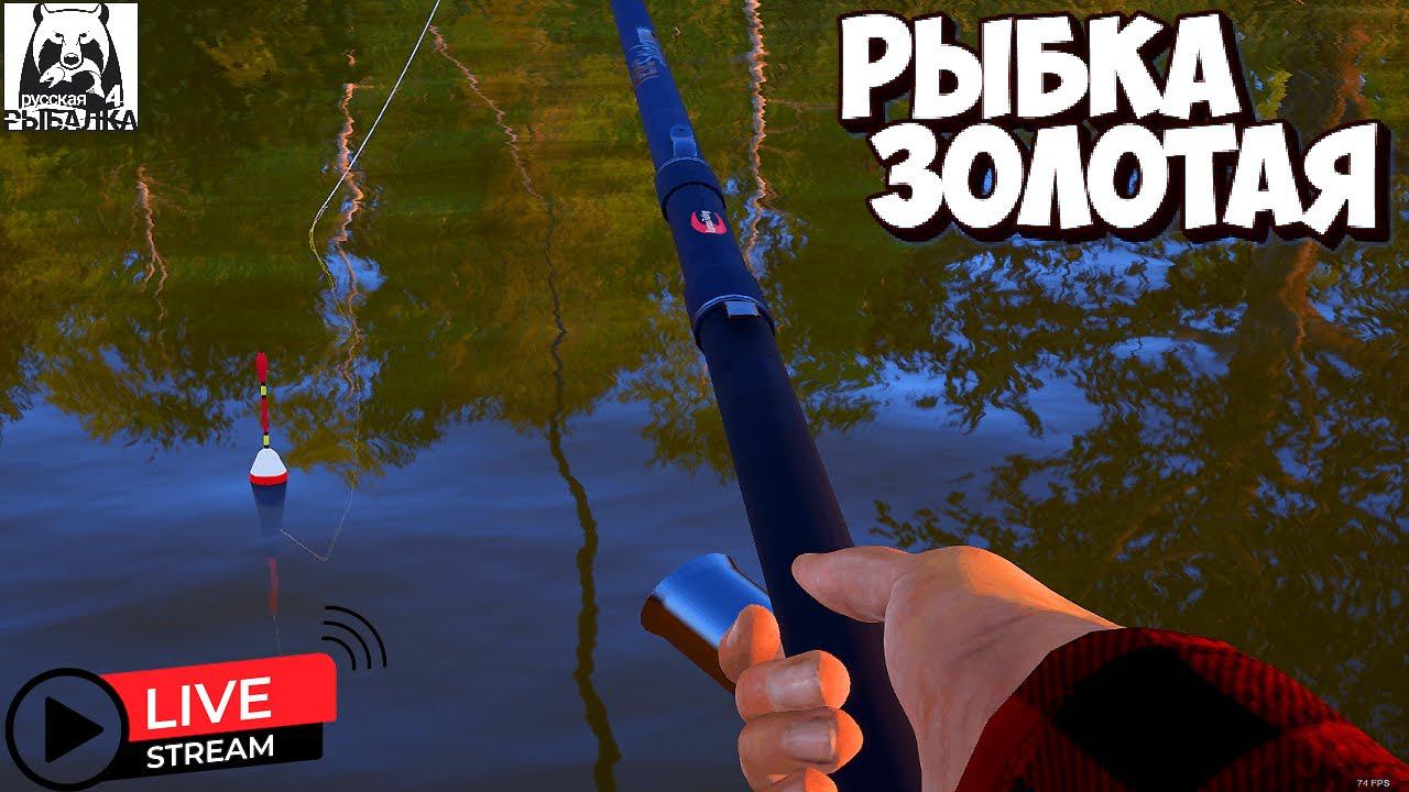 стрим РУССКАЯ РЫБАЛКА 4, ЛОВЛЯ ЗОЛОТОГО КАРАСЯ!!!