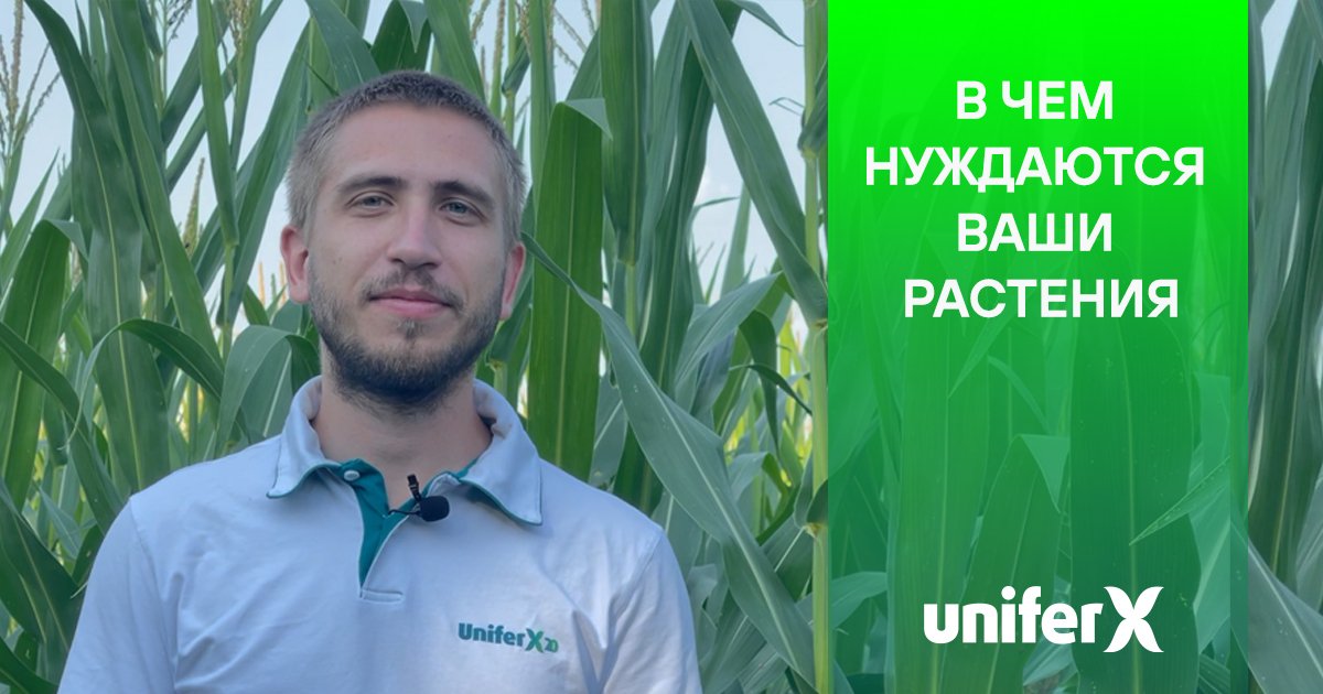 В чем нуждаются Ваши растения / Рост и развитие растений