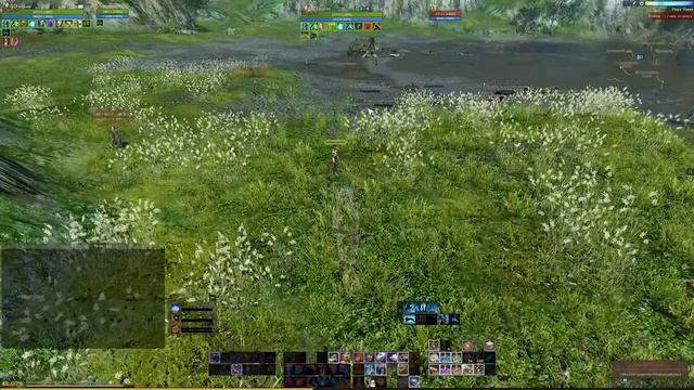 Архейдж. Макрос игрока Extremer сервера Корвус