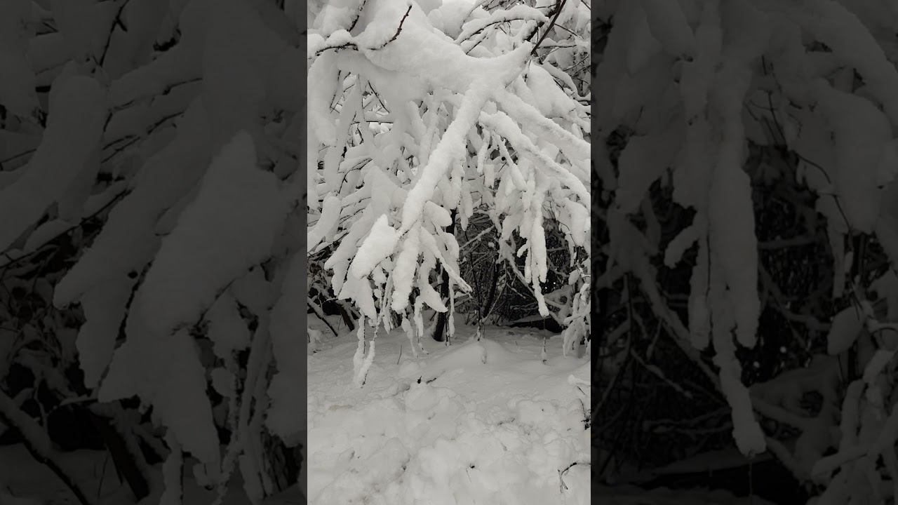 такого снегопада...