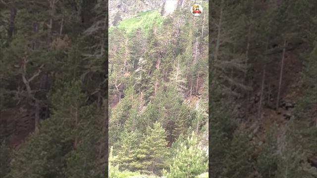 Красивый мостик на реке Терскол по дороге на водопад Терскол#Приэльбрусье