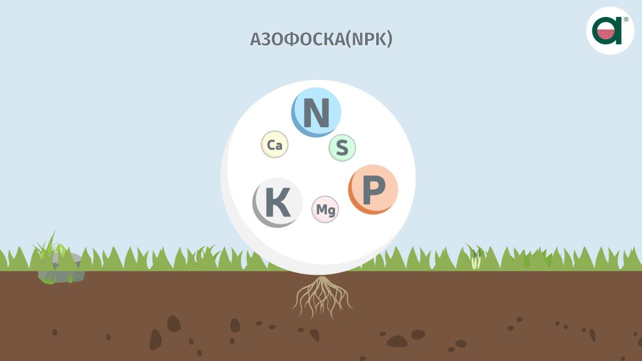 Комплексные удобрения NPK
