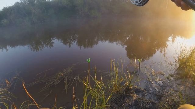 Рыбалка на удочку-донку.