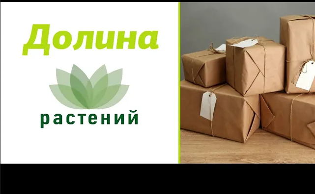 ?Распаковка посылки саженцы, луковицы растений (тюльпаны, лилии, гладиолусы).