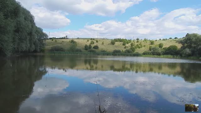 Рыбалка на пруду. Байрак 2-3.07.2022г.