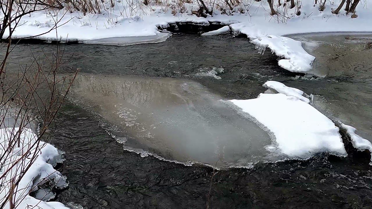 Река Издревая. Ноябрь