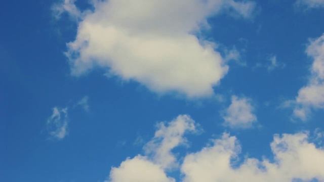 два потока эволюции.mp4