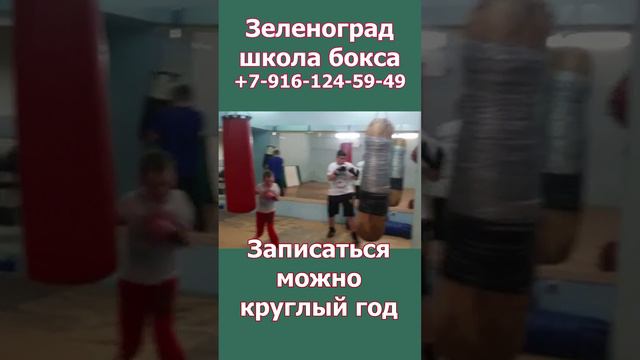 Новости спорта. Бокс в Зеленограде для детей