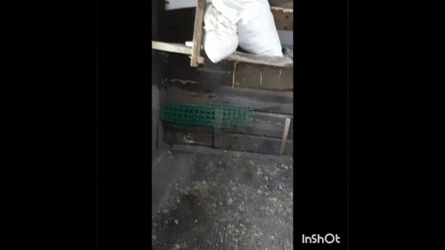 ПроРемонт.Реконструкция сарая для птицы.Фильм1.Серия1.mp4