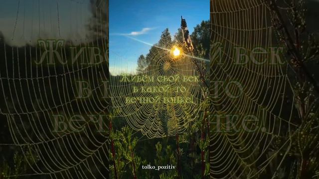 Ах, сколько ж в этом мире суеты… Мысли вслух