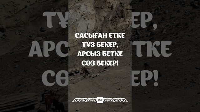 САСЫҒАН ЕТКЕ ТҰЗ БЕКЕР АРСЫЗ БЕТКЕ СӨЗ БЕКЕР
