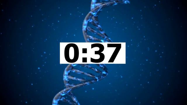 COMPUTER KNOWLEDGE AND SKILLS (Вербицкая) by Английский язык ЕГЭ Устная часть