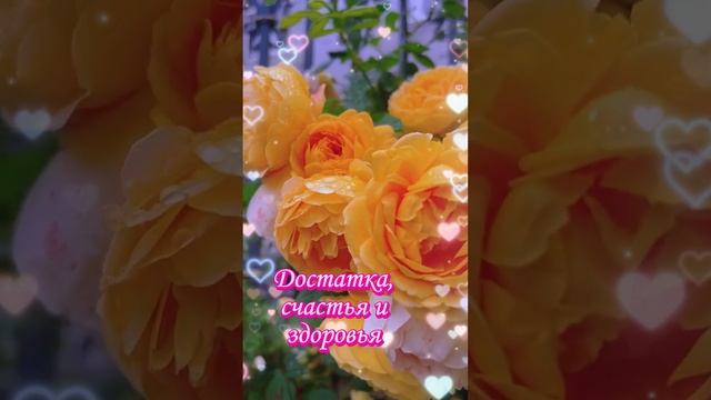 С Днём Матери! Shorts