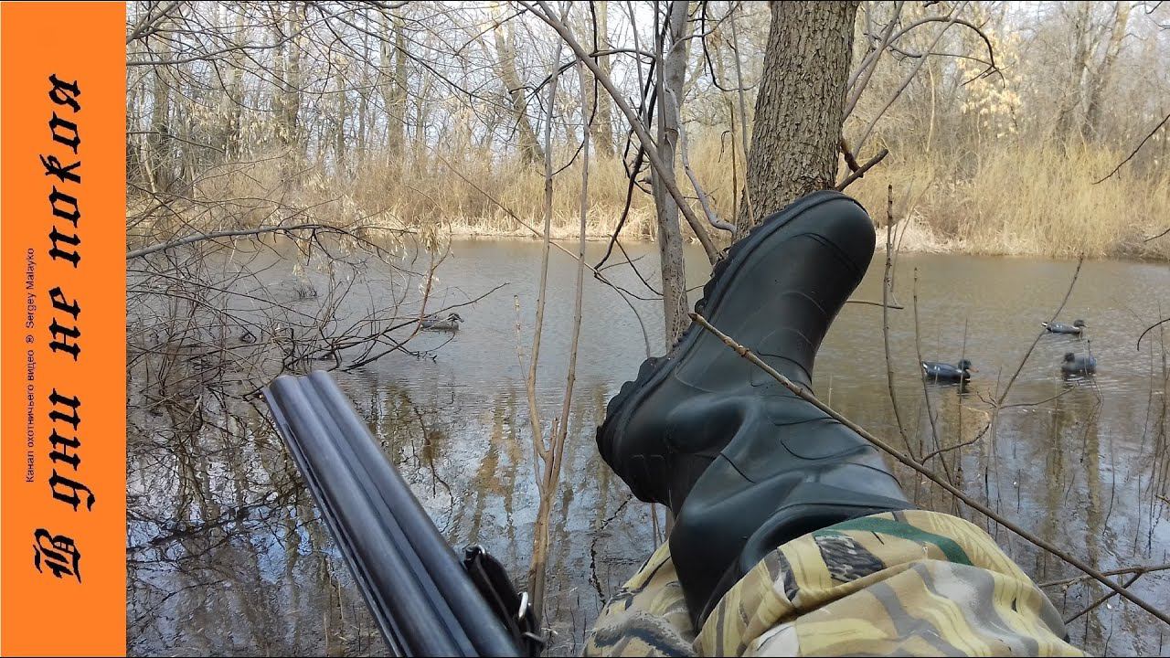 Видео зарисовка с весенней охоты