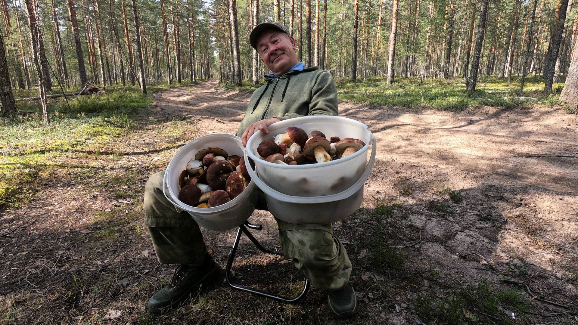 Не лес а сказка, природа и грибы Боровики и их много. А также Белый гриб, красные и разные. Красота.
