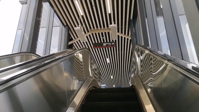 Новодная, станция МЦД 1