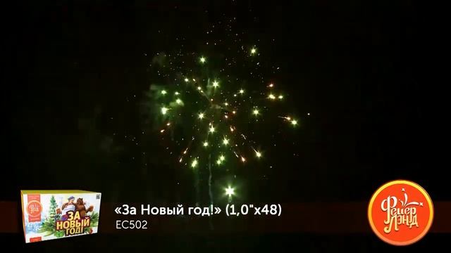 EC502 "За новый год".mp4