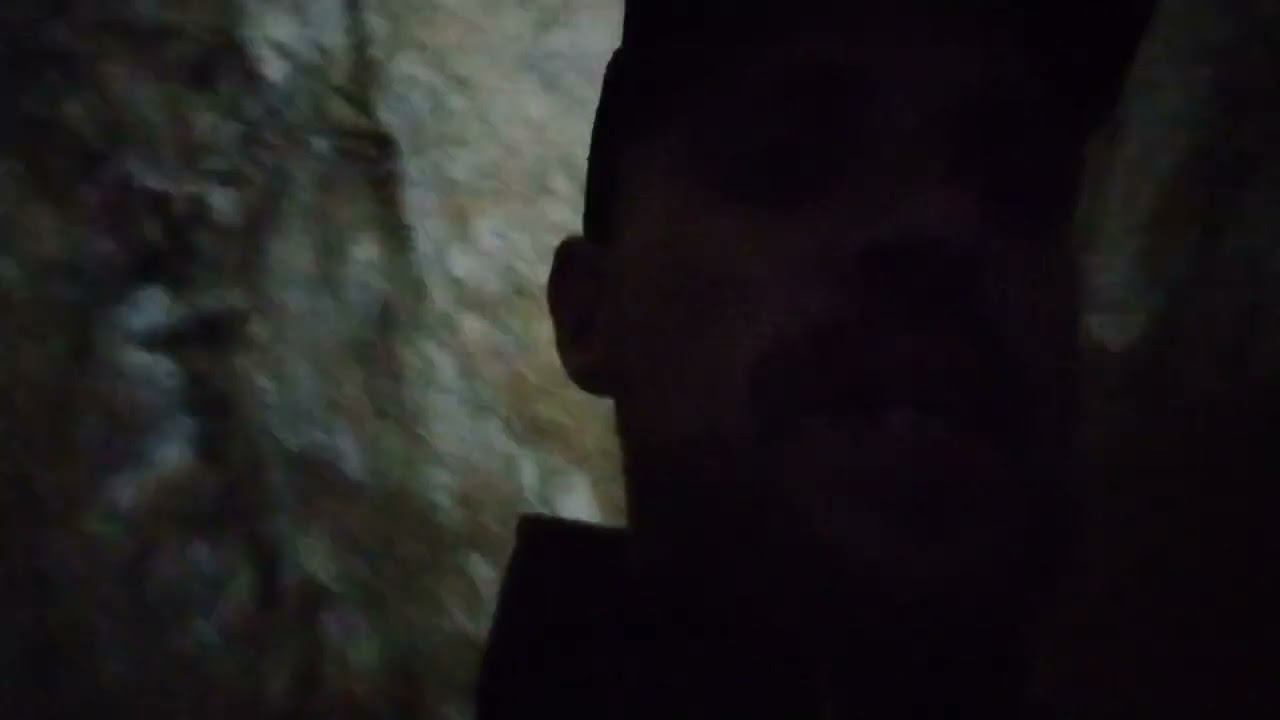 Соотечественники опомнитесь!