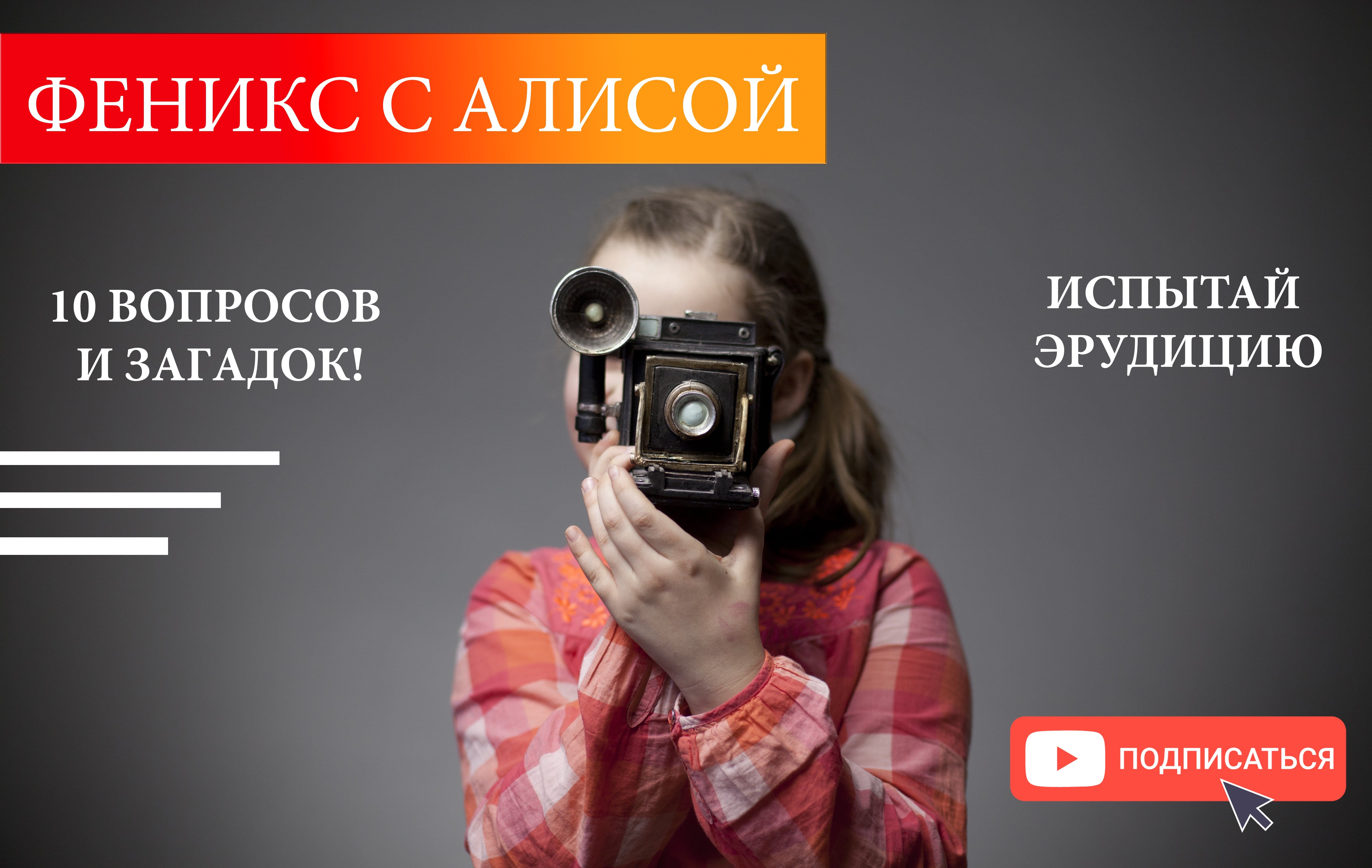 Феникс с Алисой №5