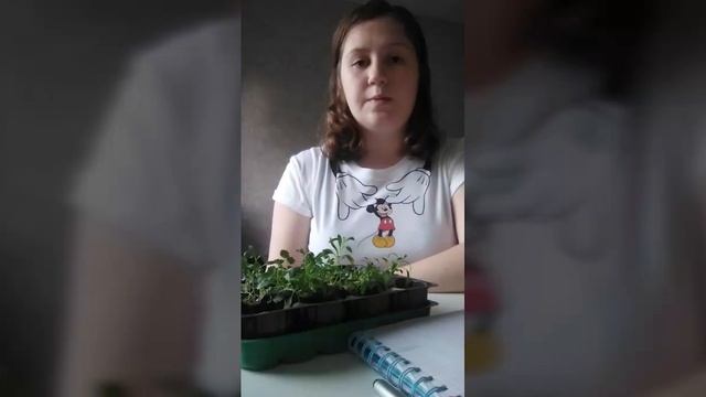 Елизавета Маченко,Ксения Лакман,Самира Тухтарова (Биоквантум) "Озеленение сибири"