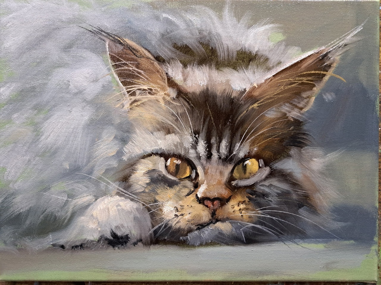 Кот .Живопись маслом