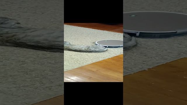 кас, полипроша😅¯\_(ツ)_/¯