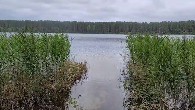 Исток Волги '22