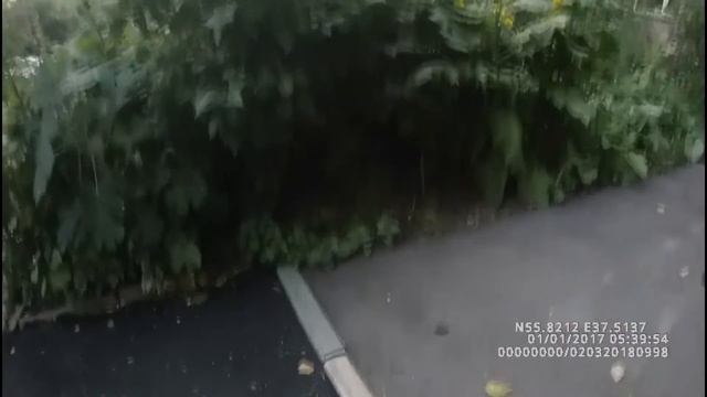 Розыск пропавших животных.mp4