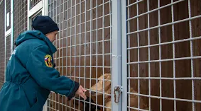 Кинологи АСС региона рассказали об особенностях службы в зимний период