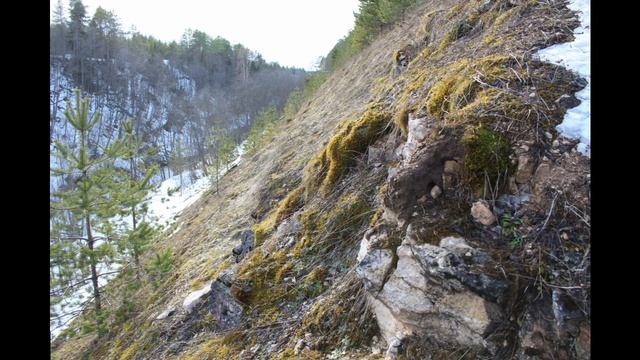 Symphonic picture Vytegoria (Симфоническая картина Вытегория)