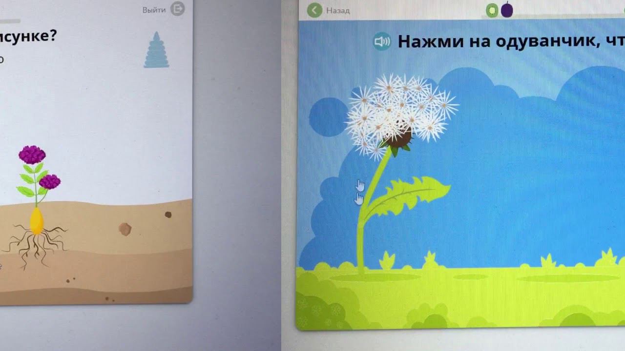 Окружающий мир 2 класс. Как меняется растение, одуванчик