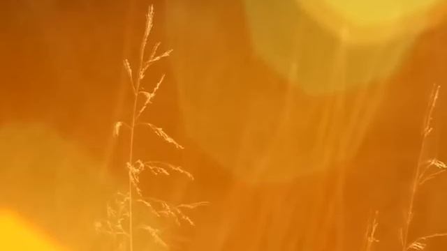 Марина Волнорезова - Судьба нам лишних не дает