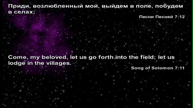 8.Если бы любовь Интимная жизнь_ разрушительные мифы. Лекция Виталия Олийника..mp4