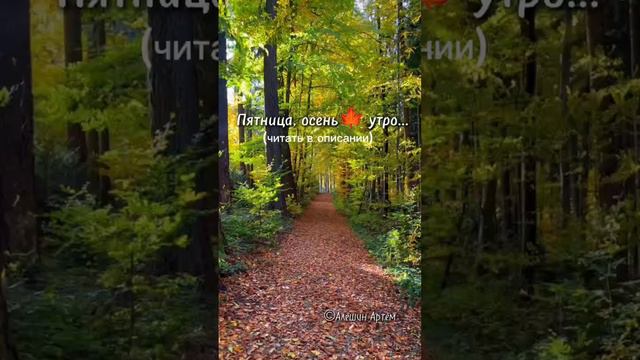 🍁Пятница, осень, утро...🍂