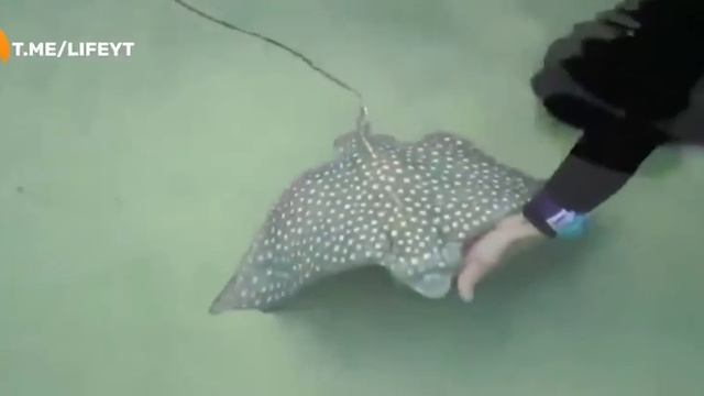 vvvvvv.    vbhjn,по,???????????????❤️???????????