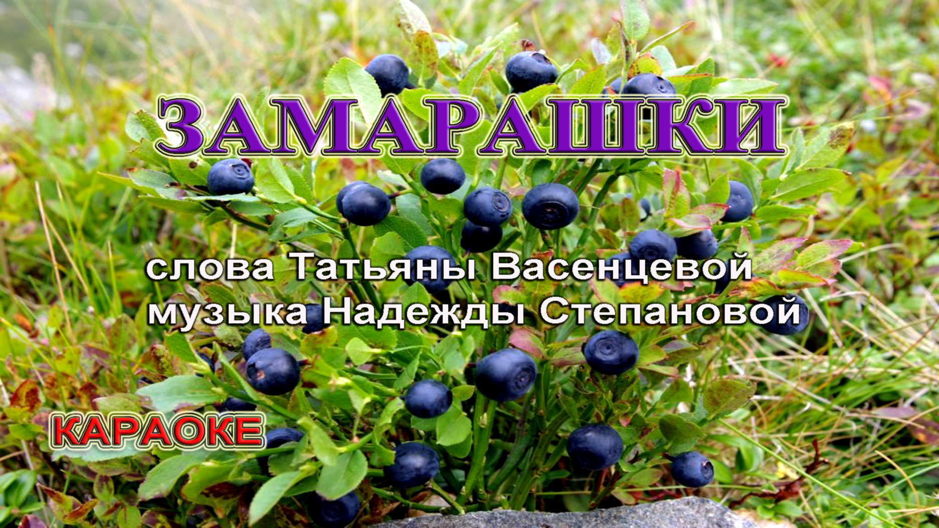 Замарашки.  Караоке.