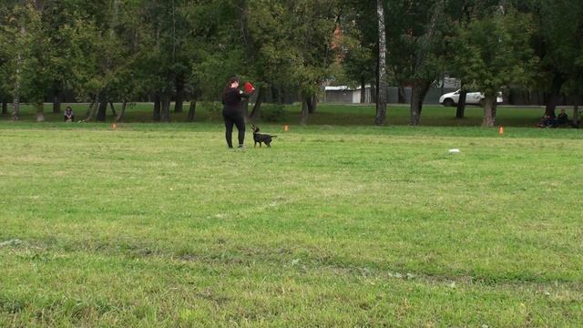 Freestyle division II   Елизавета и Цири.mp4