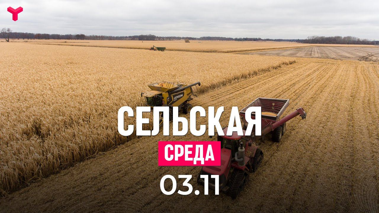 Сельская среда 03.11.2021