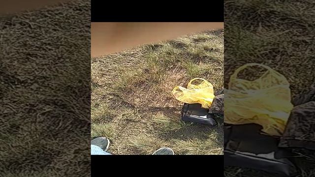 Tecsun pl 330 слушаем радиолюбителей на кв1