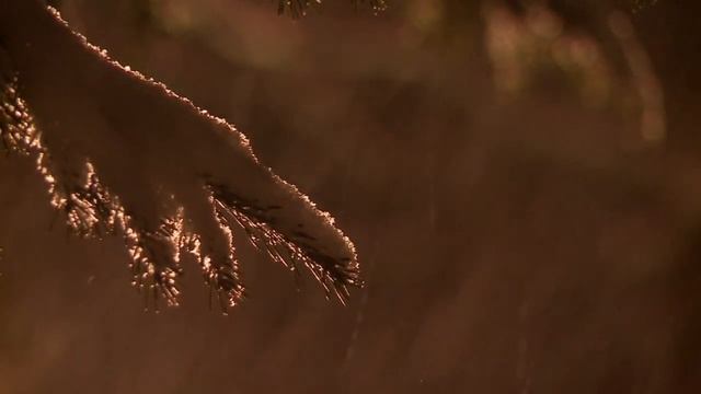 Песня «Снег идёт»